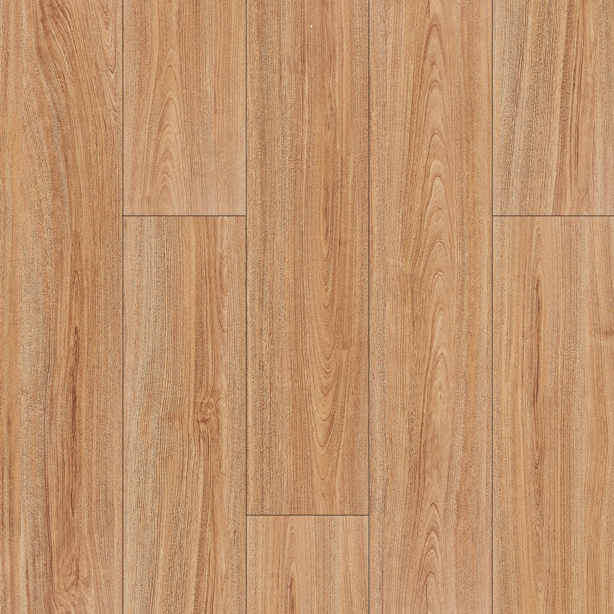 Ws731 store
